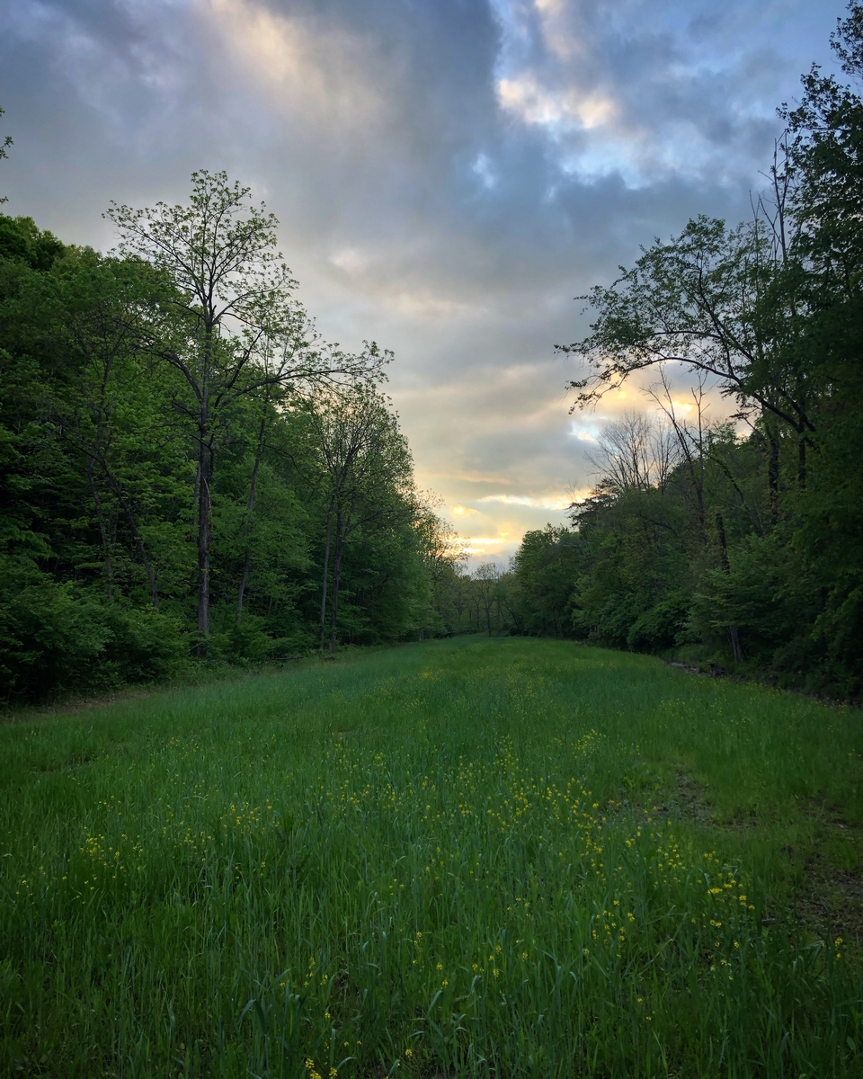 Page 2/2 - Powder Ridge Outfitters Property Photos Photo Gallery