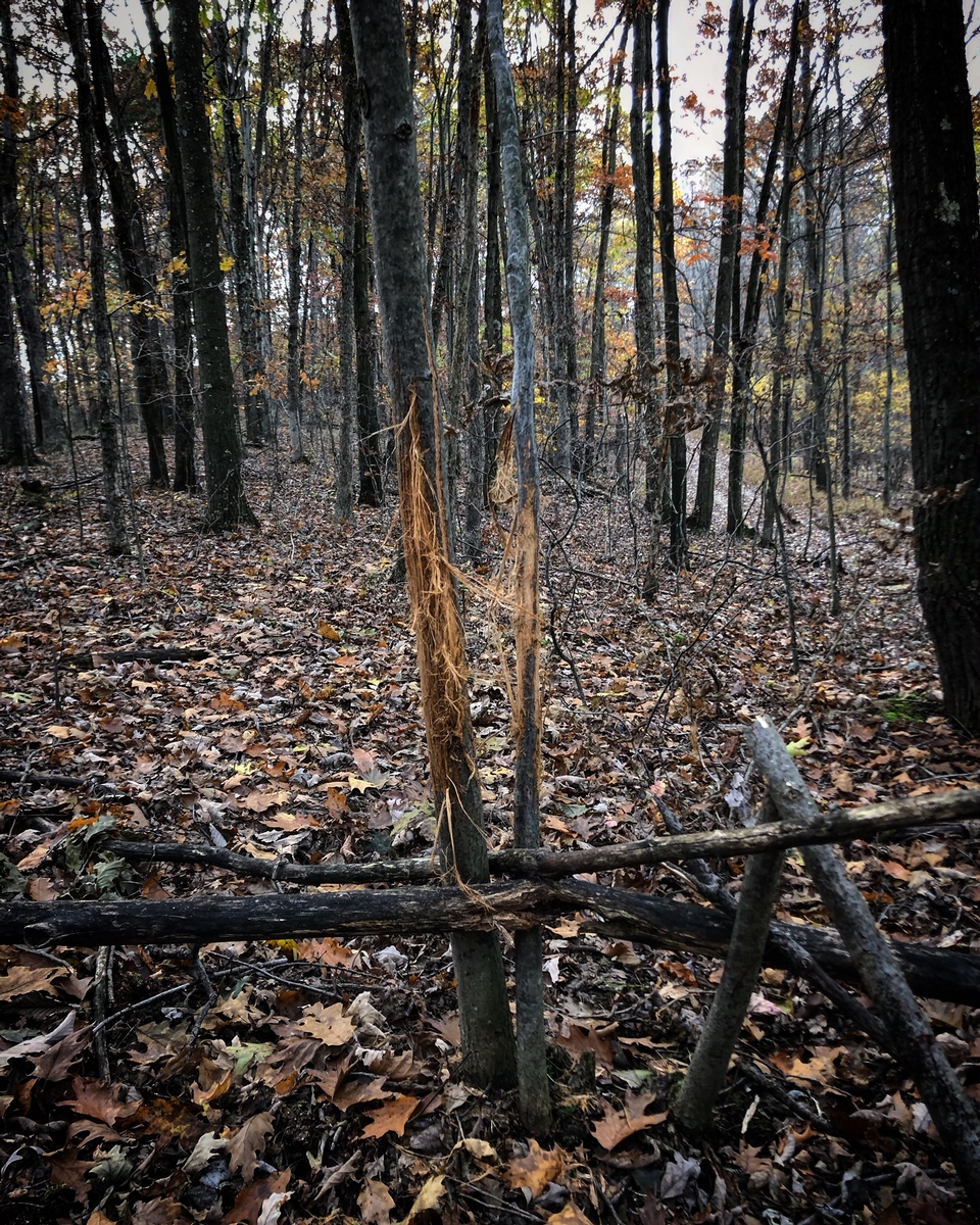 Page 2/2 - Powder Ridge Outfitters Property Photos Photo Gallery