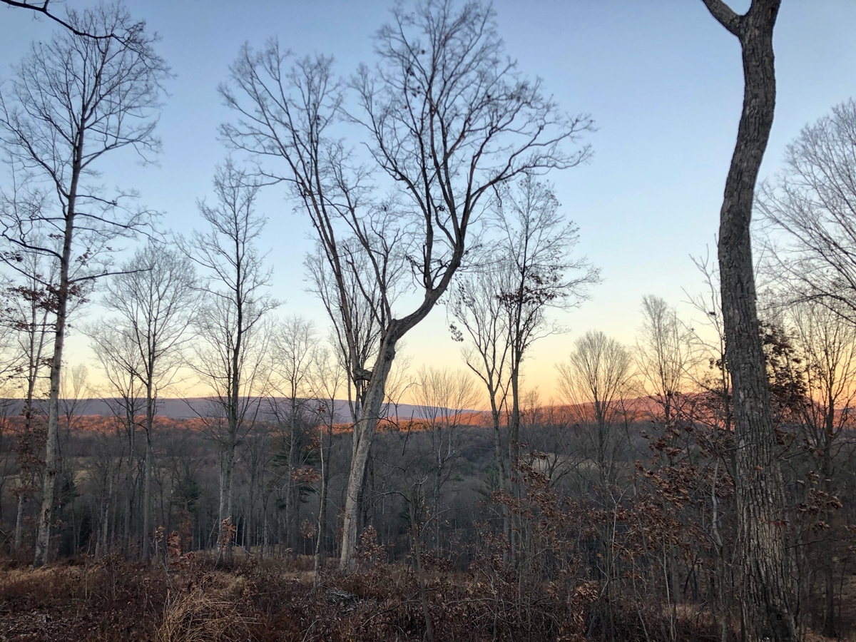 Page 2/2 - Powder Ridge Outfitters Property Photos Photo Gallery