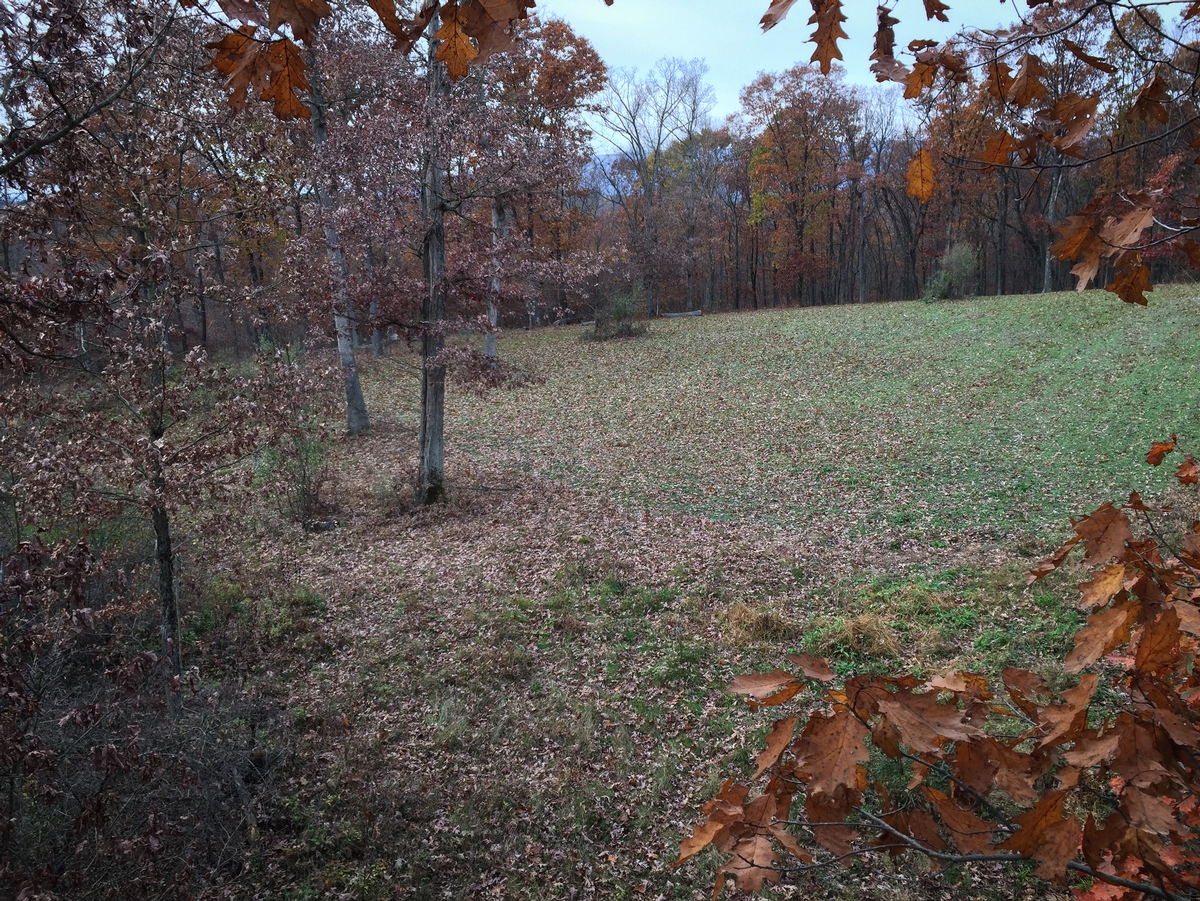 Page 2/2 - Powder Ridge Outfitters Property Photos Photo Gallery